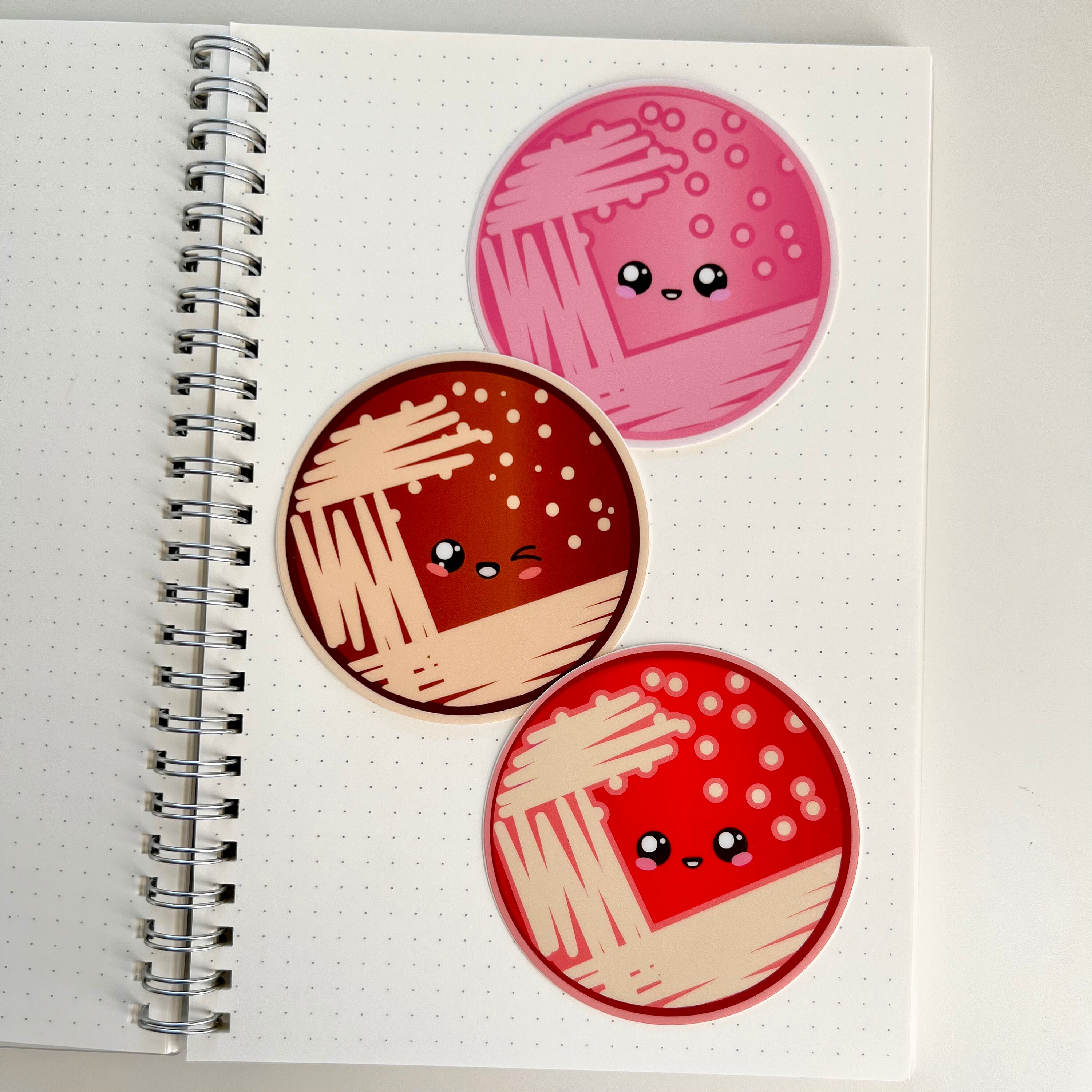 Microbiology Macconkey Agar Sticker Petri Dish Agar Sticker - Etsy ...