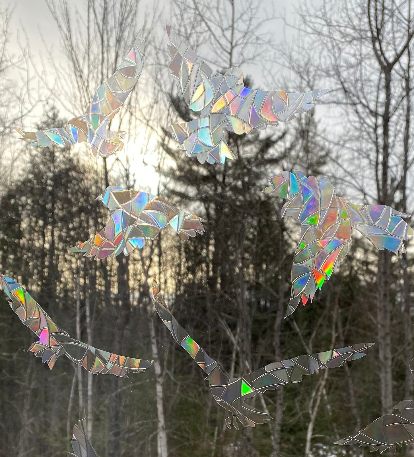 Flying Bird Window Cling, Stop Bird Strikes, Rainbow Maker Prism ...