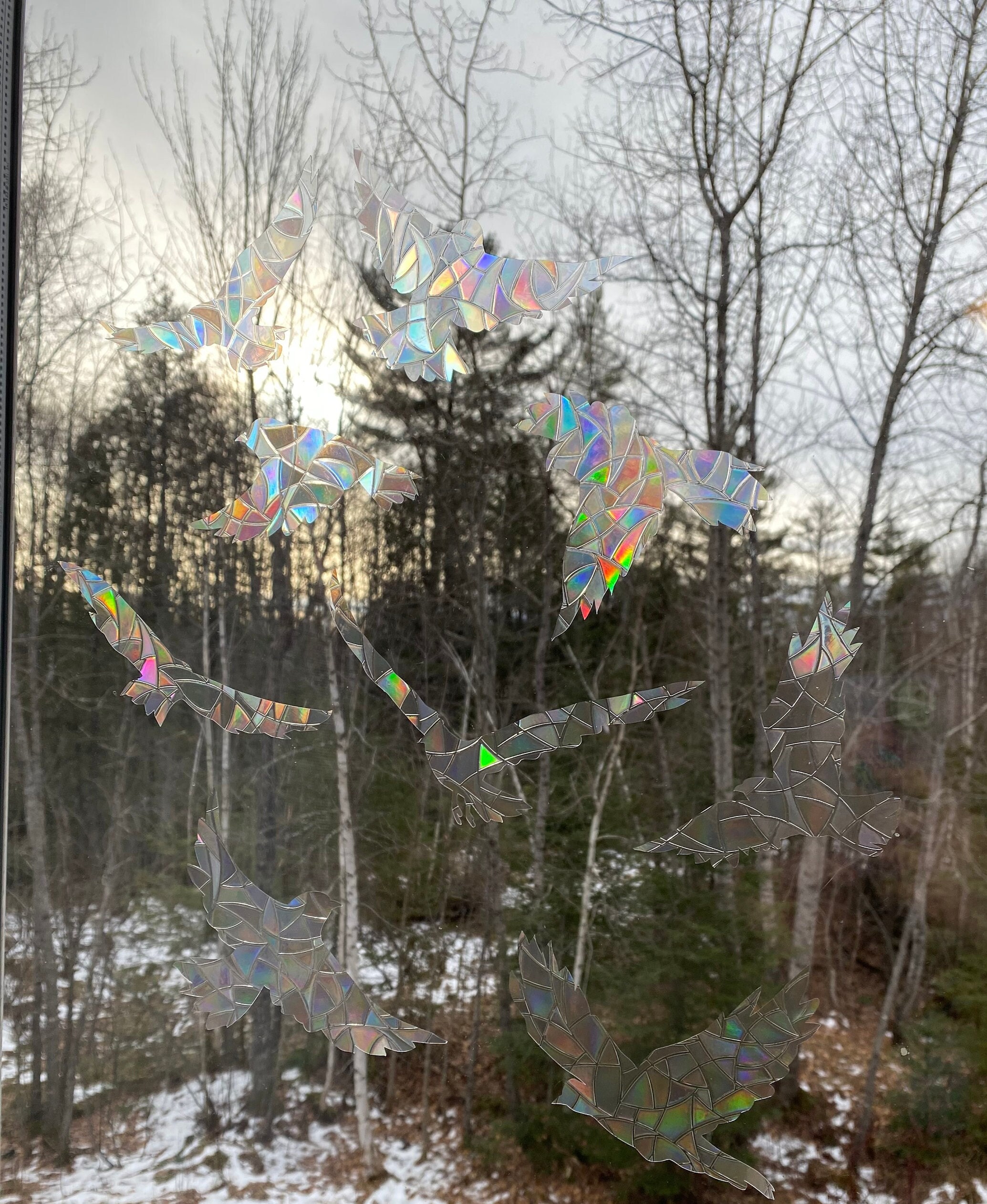 Flying Bird Window Cling, Stop Bird Strikes, Rainbow Maker Prism ...