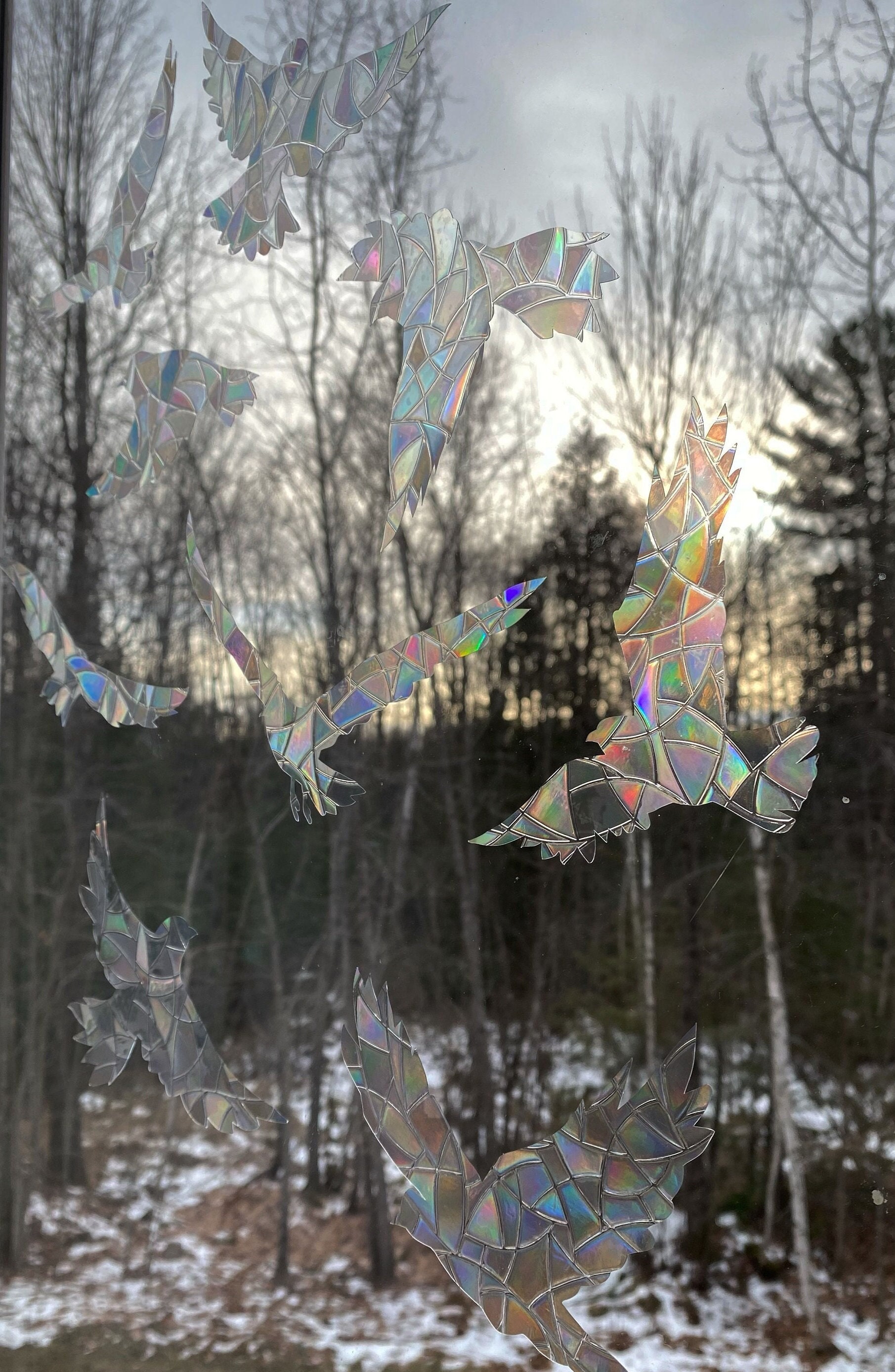 Flying Bird Window Cling, Stop Bird Strikes, Rainbow Maker Prism ...