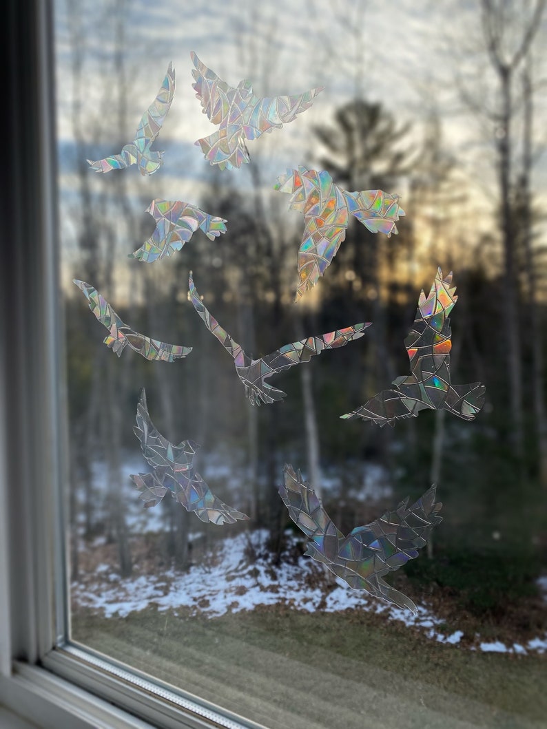Flying Bird Window Cling, Stop Bird Strikes, Rainbow Maker Prism ...