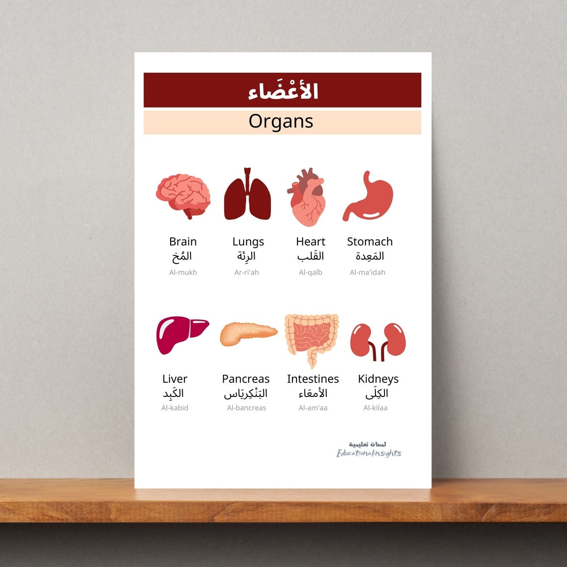 Human Anatomy Education Printable, Body Organs, Homeschool Learning ...