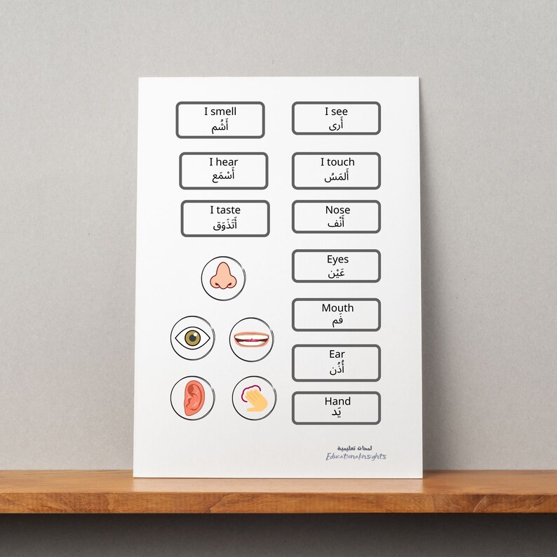 Five Senses Worksheet, Busy Book Printable, Learning Binder, Sorting ...