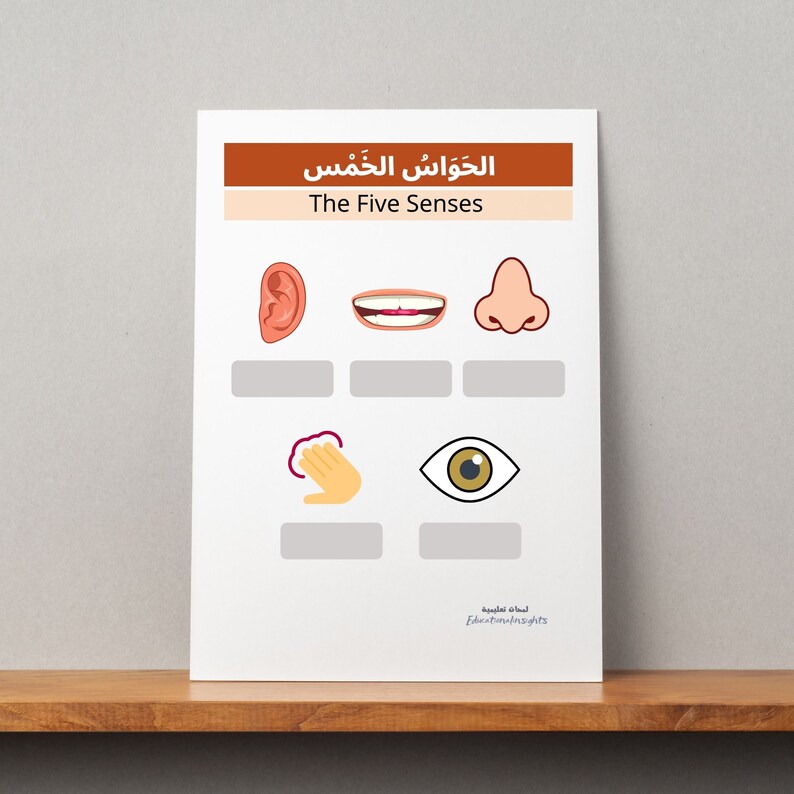 Five Senses Worksheet, Busy Book Printable, Learning Binder, Sorting ...