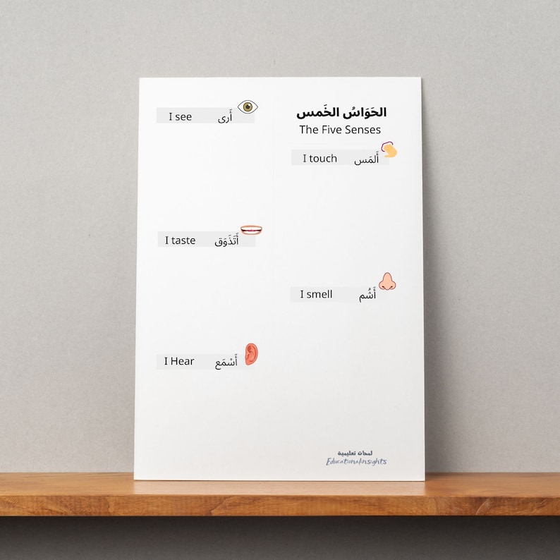 Five Senses Worksheet, Busy Book Printable, Learning Binder, Sorting ...