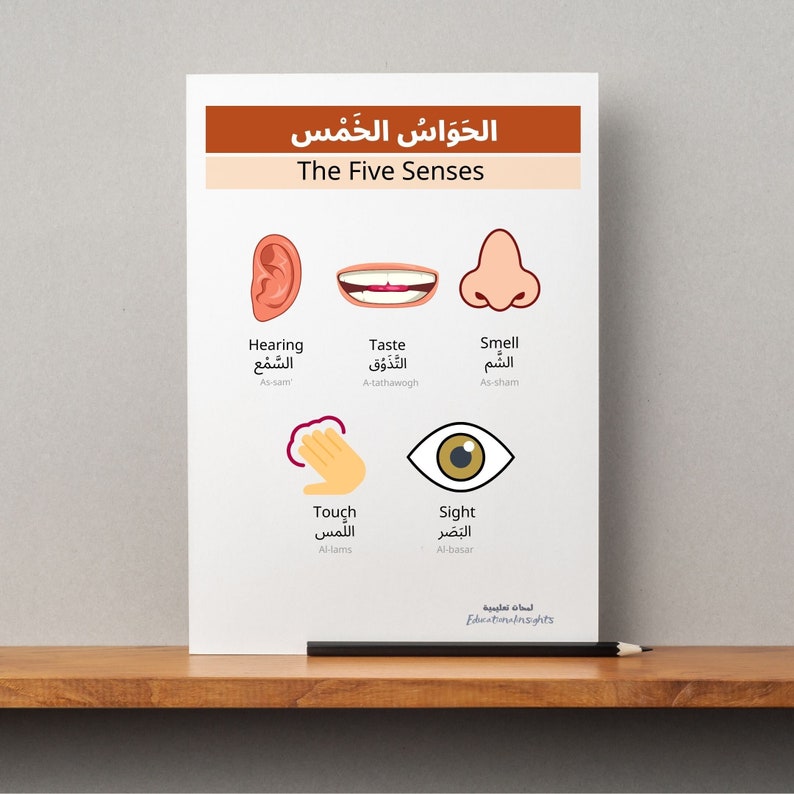 Five Senses Worksheet, Busy Book Printable, Learning Binder, Sorting ...