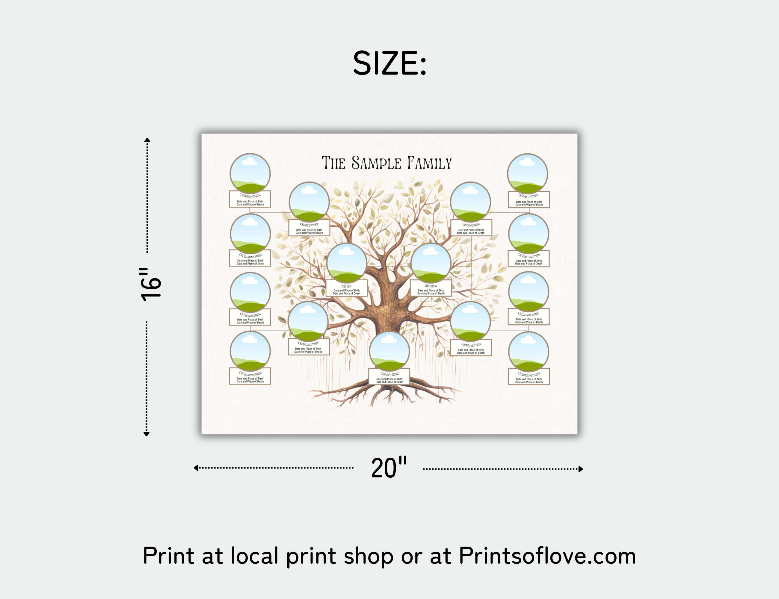 Editable Family Tree Template With Photos, 4 Generation Family Tree ...