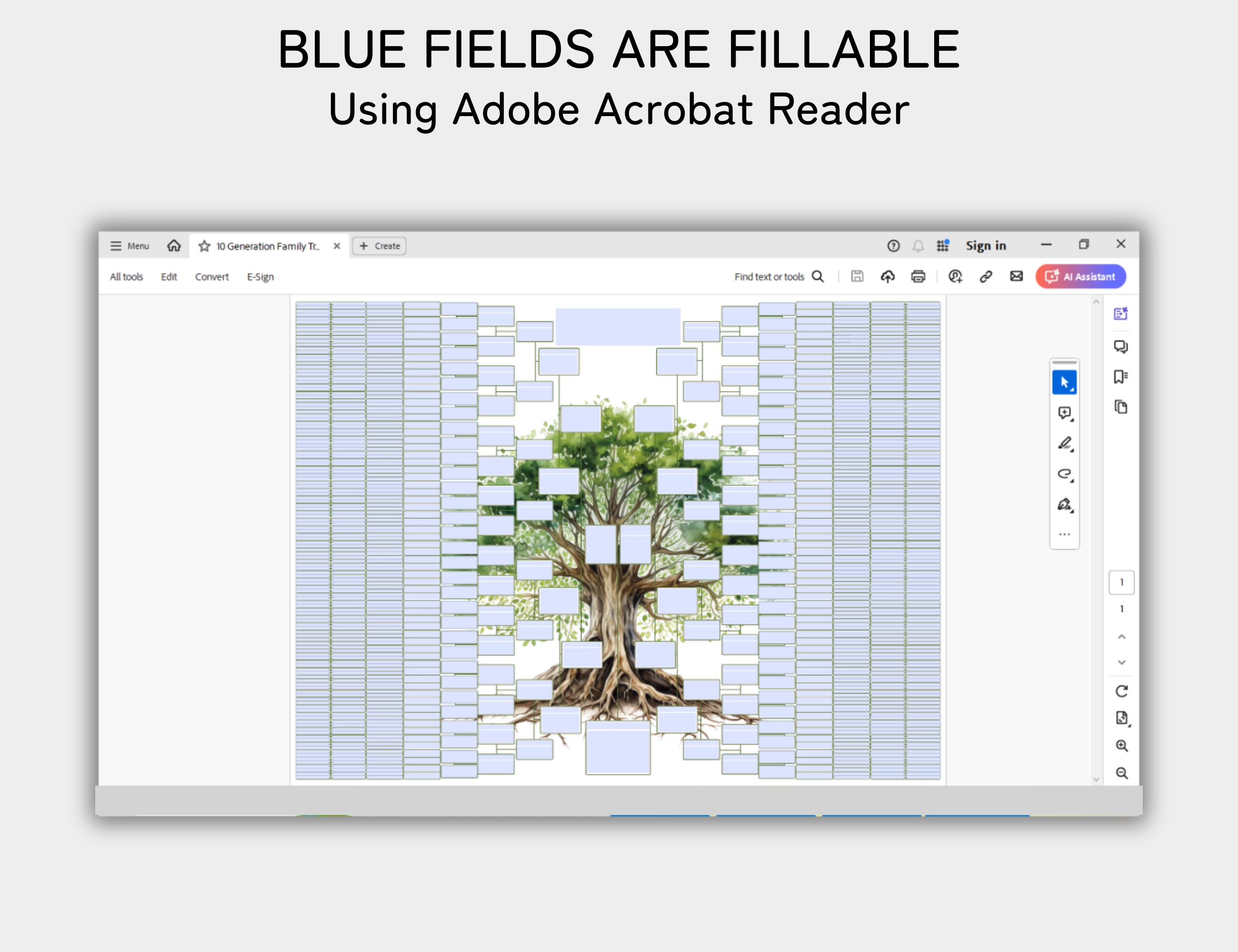Family Tree Template 10 Generation, Family Tree Chart, Family Reunion ...