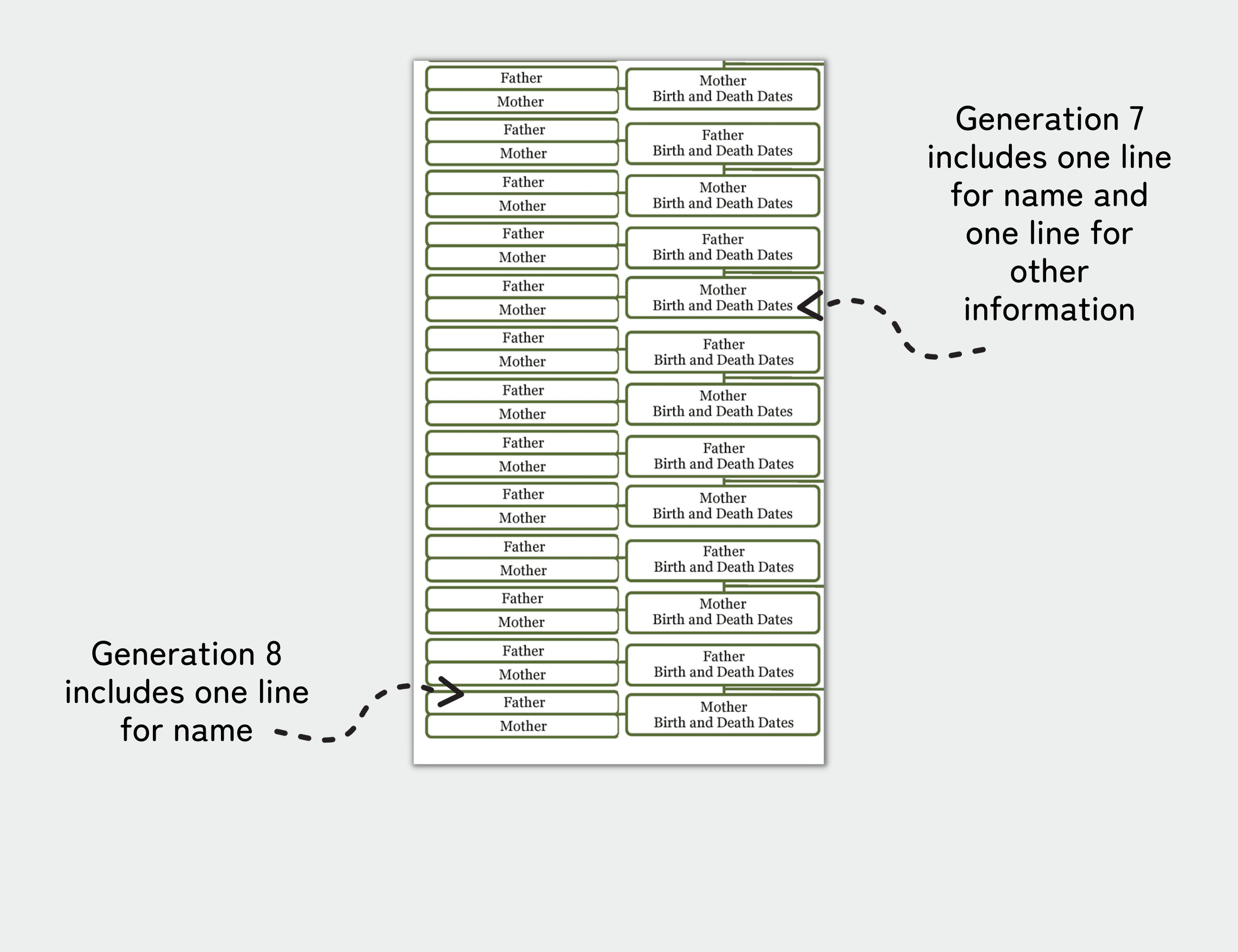Family Tree Template 8 Generation Family Tree Chart - Etsy Canada