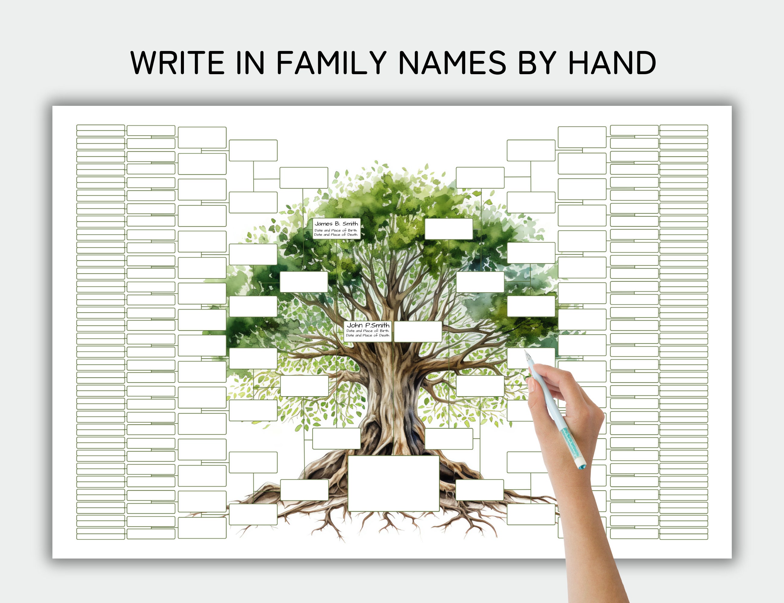 8 Generation Family Tree Poster, Blank Physical Family Tree Chart, 24 X ...