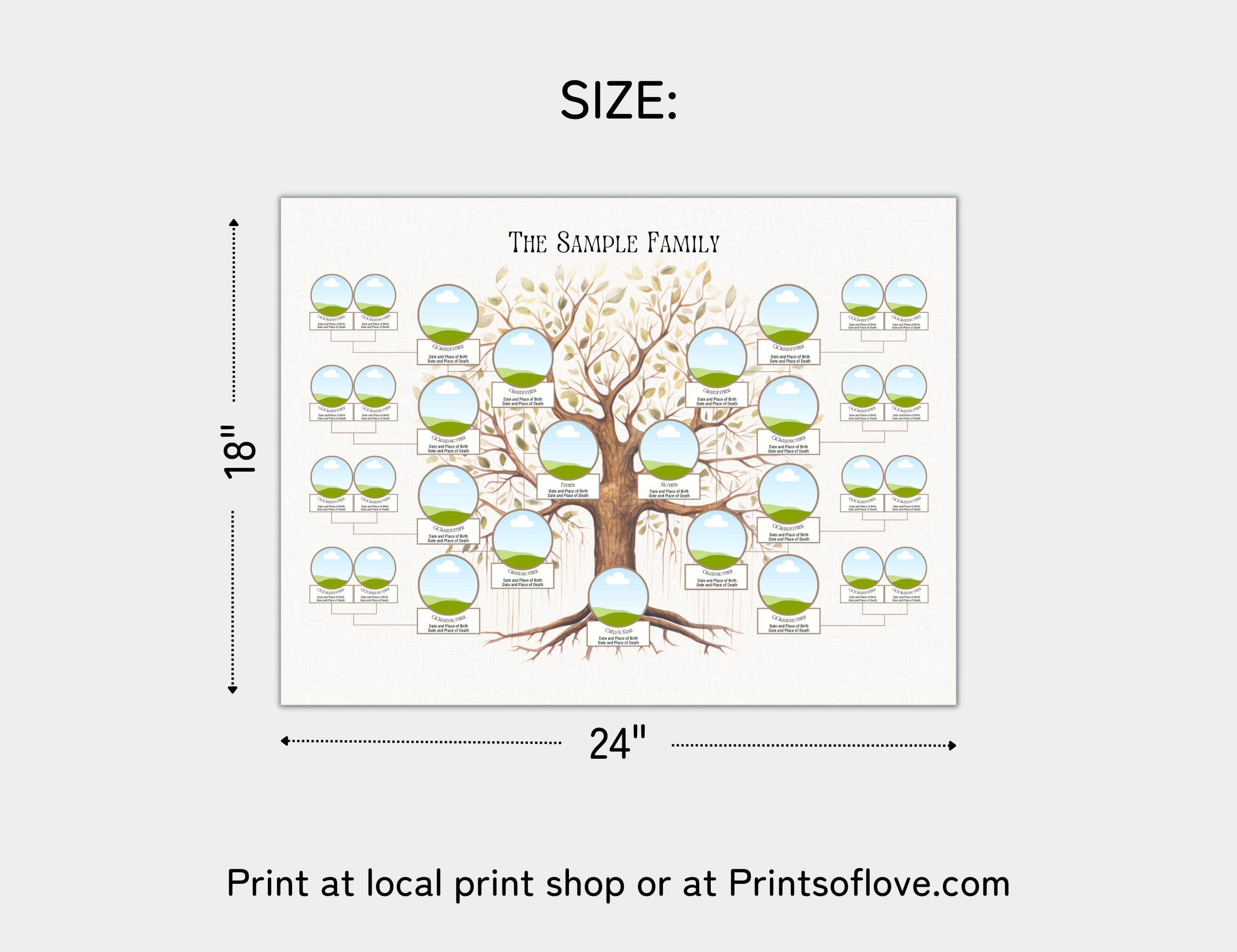 Editable Family Tree Template With Photos, 5 Generation Family Tree ...