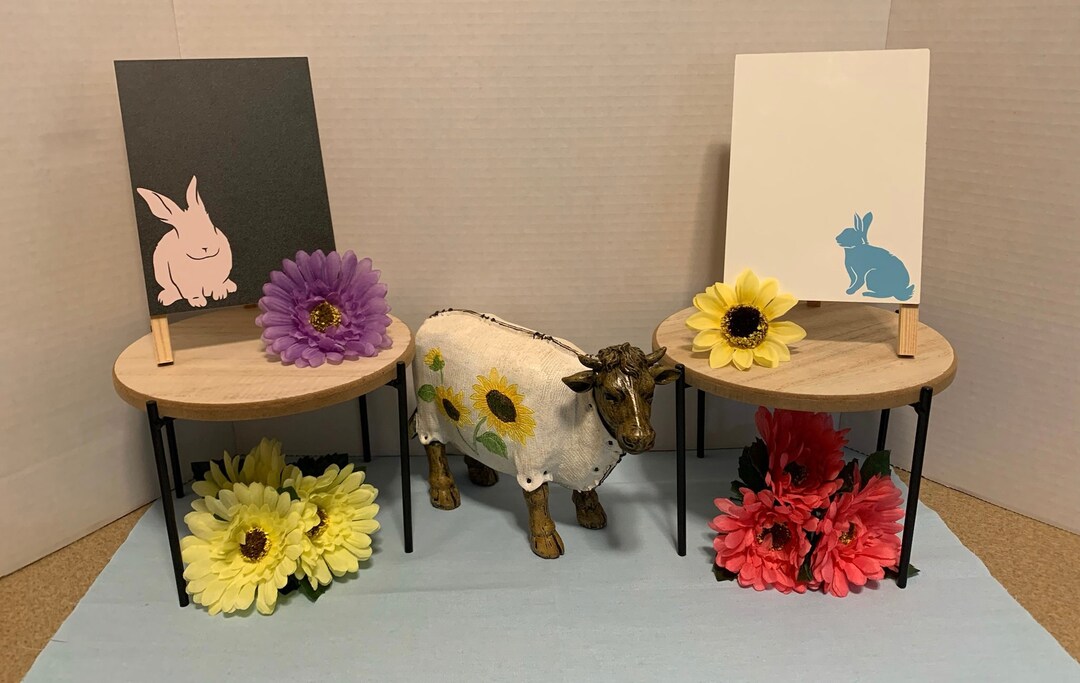 Easter Bunny Chalkboard Sign and Whiteboard Sign With Attached Easel ...