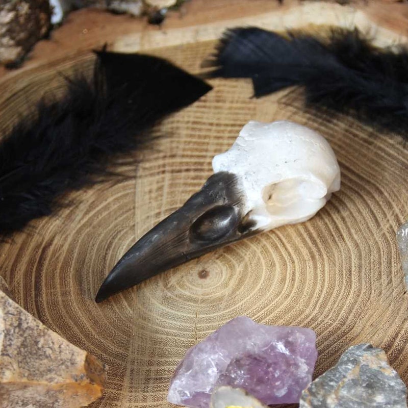 Skull Crow - Etsy