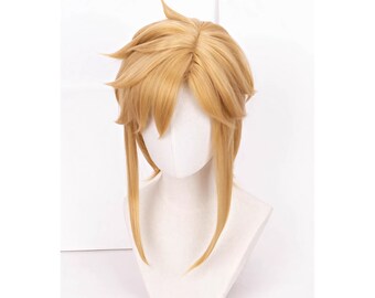 Legend of Zelda Breath of the Wild LINK Cosplay Wig - Etsy