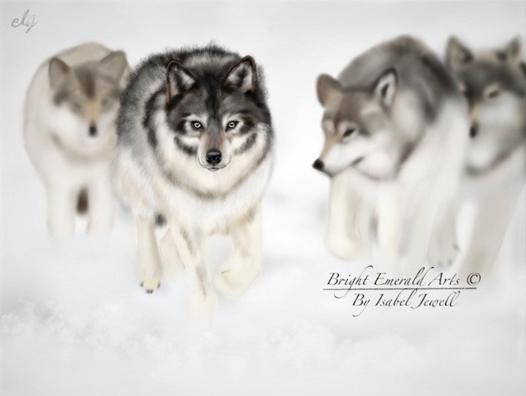 Wolves perseverance Canadian Artist Canvas-mounted Print by Bright ...