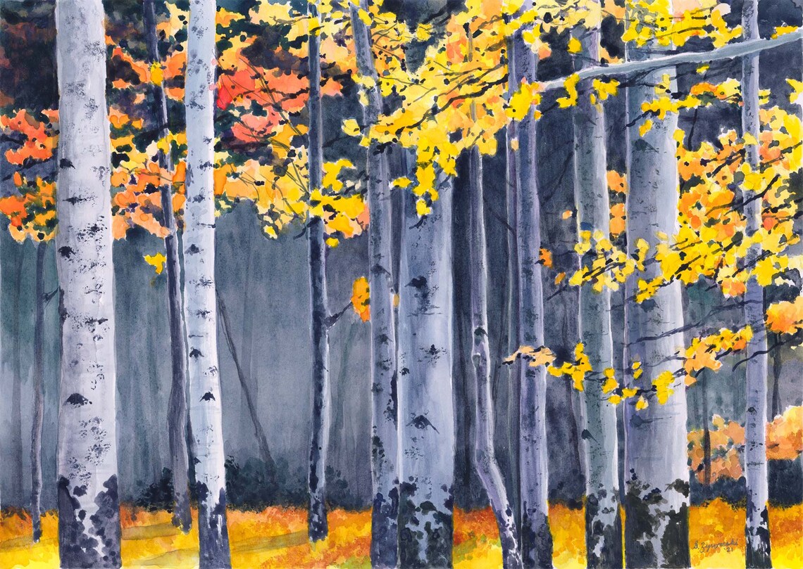 Aspen Trees Art Print - Etsy