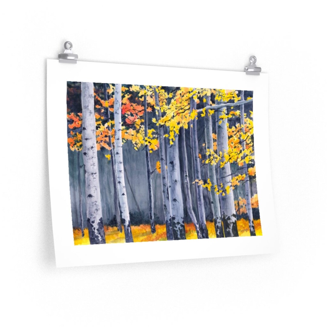 Aspen Trees Art Print - Etsy