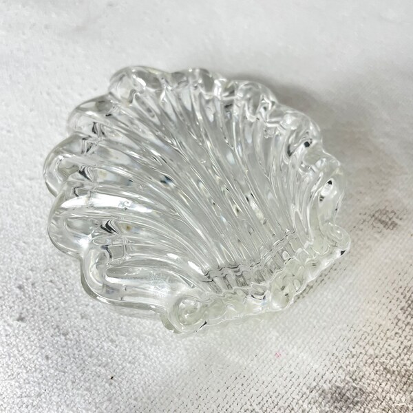 Shell Container - Etsy