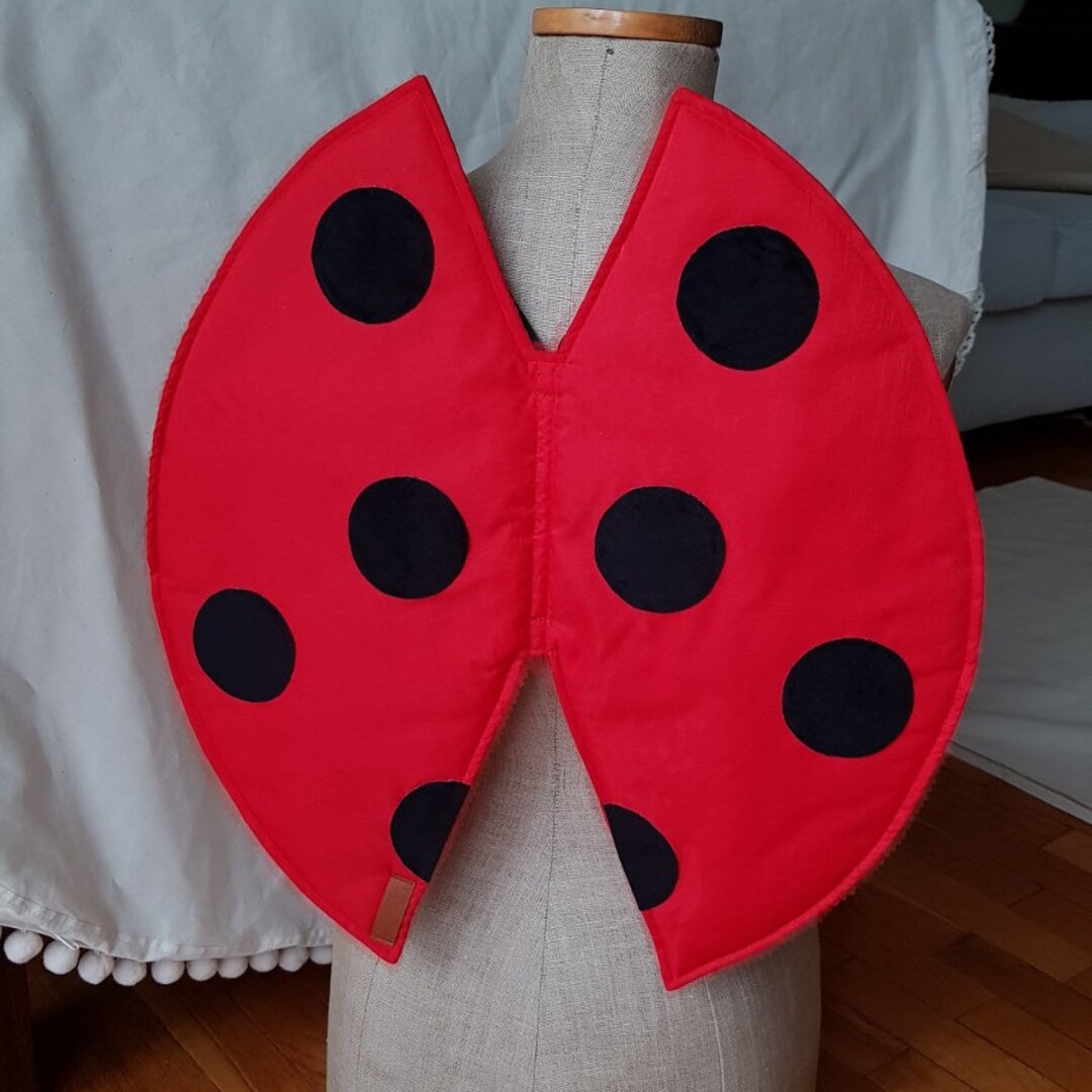Ladybird Fairy Wings for Kids Ladybug Outfit for a Carnival Party ...