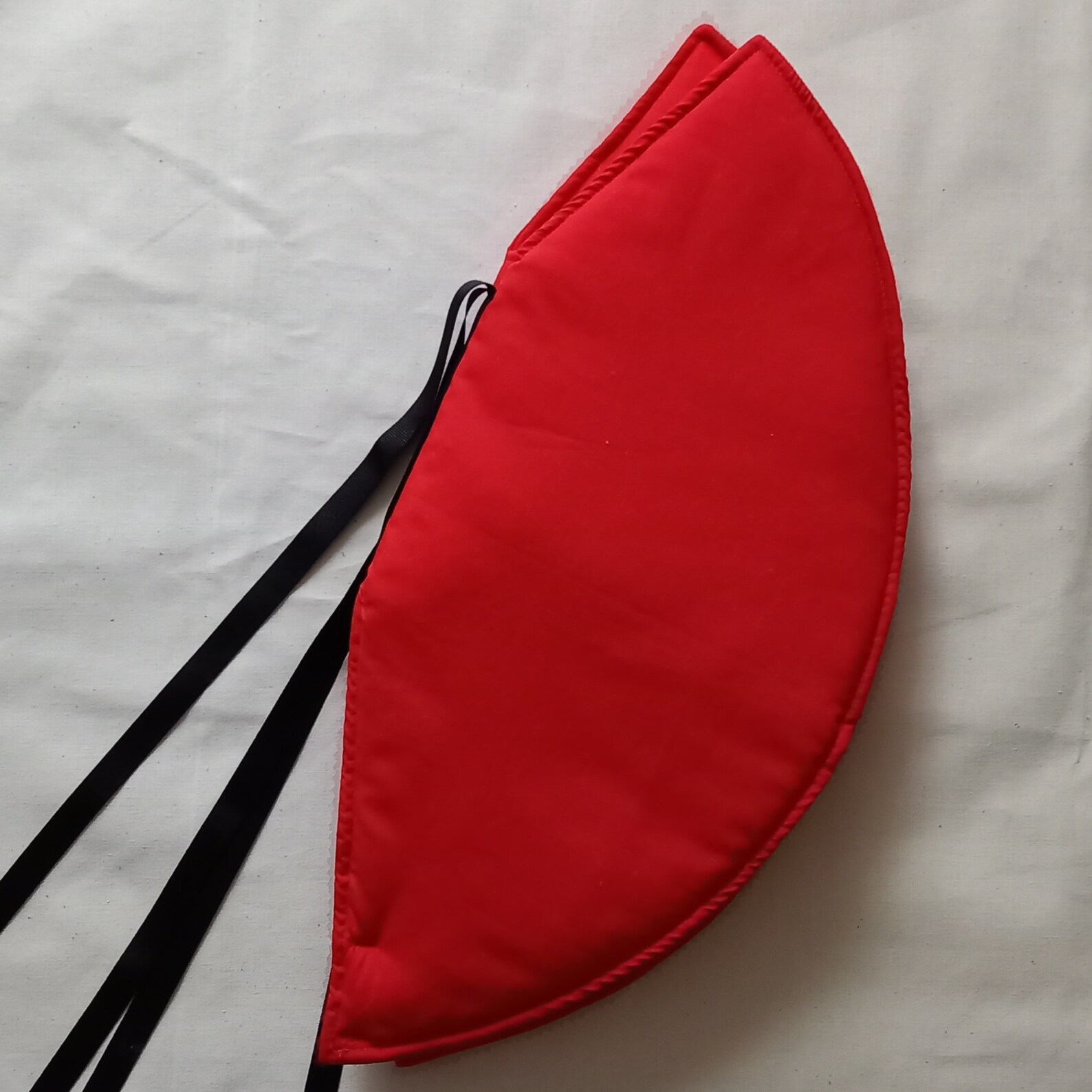 Ladybird Fairy Wings for Kids Ladybug Outfit for a Carnival Party ...