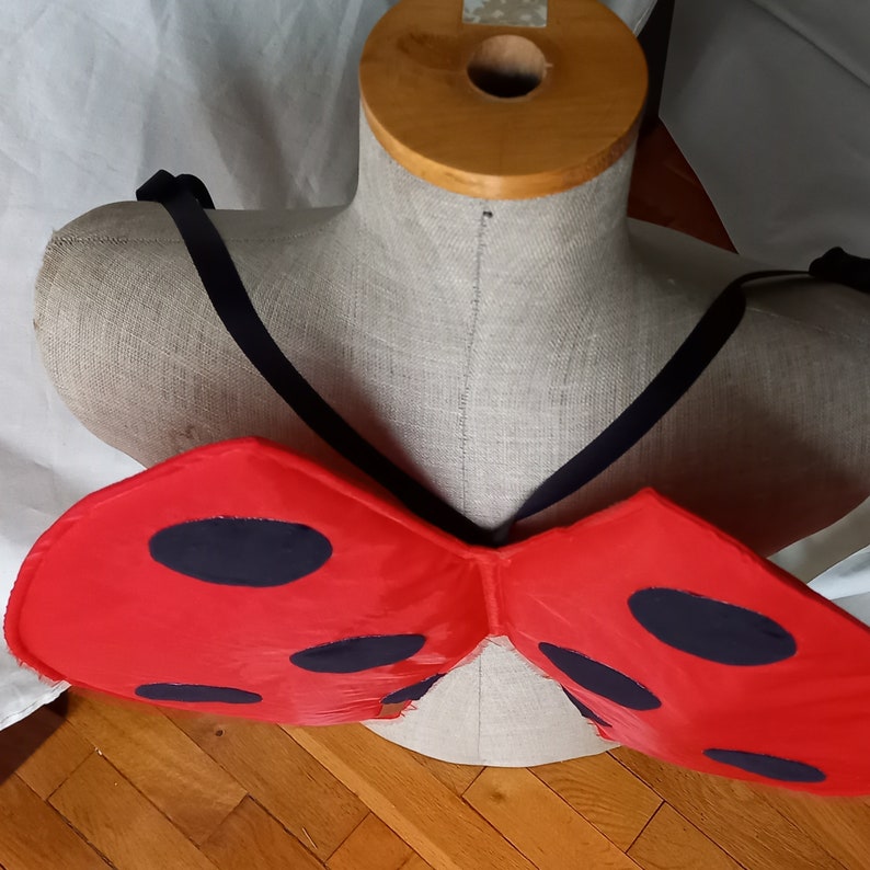 Ladybug Wings Costume, Carnival Party Outfit - Etsy