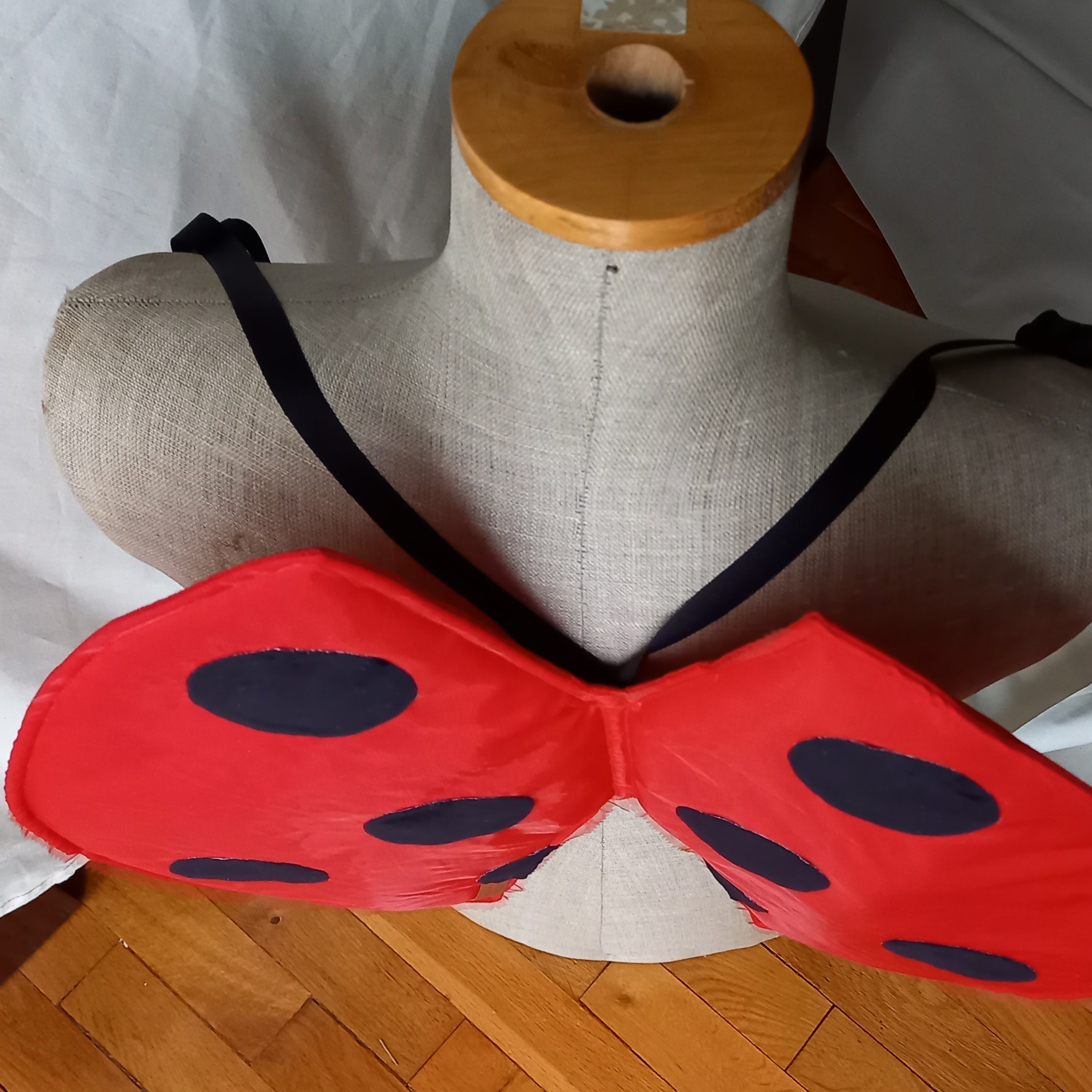 Ladybird Fairy Wings for Kids Ladybug Outfit for a Carnival Party ...