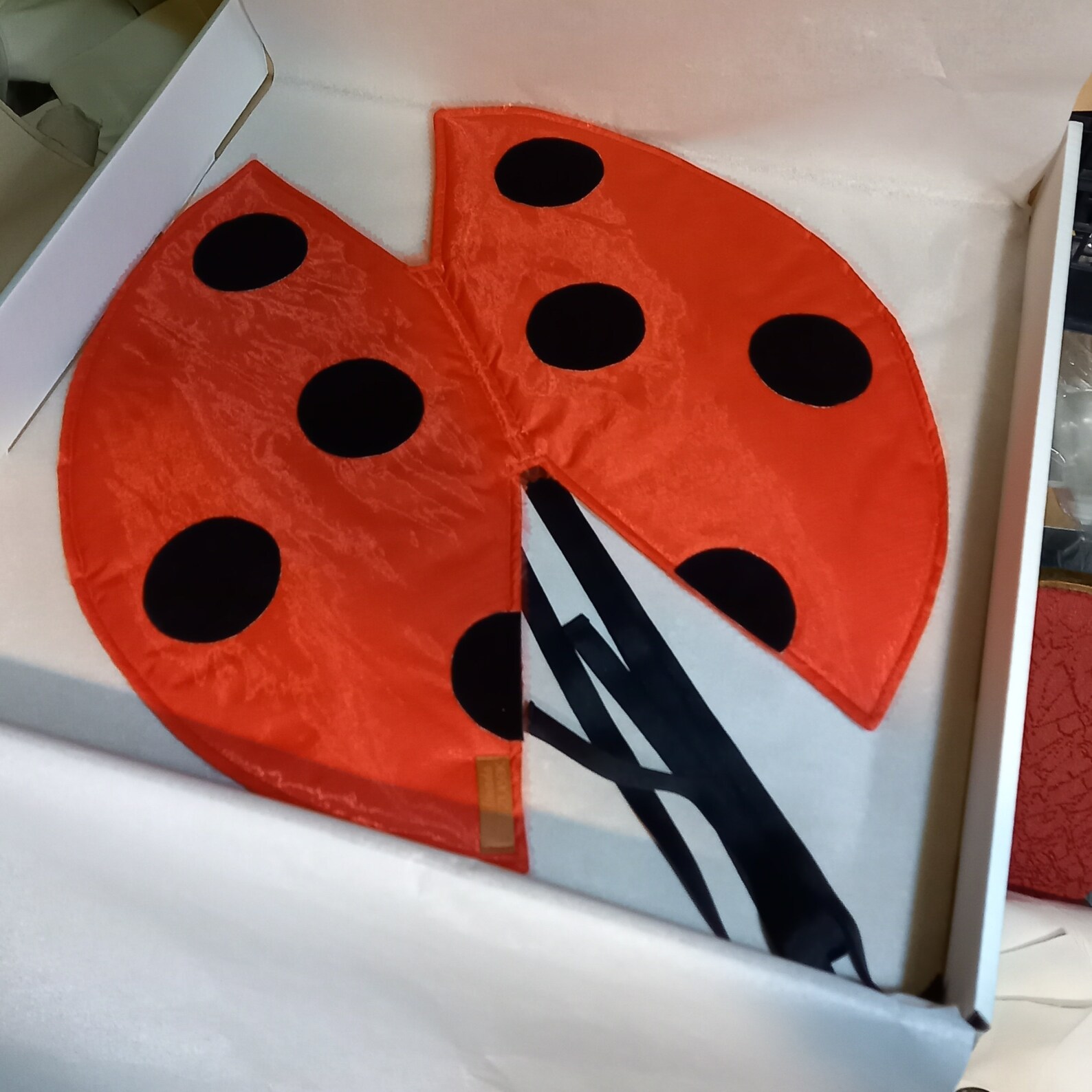 Ladybug Wings Costume, Carnival Party Outfit - Etsy