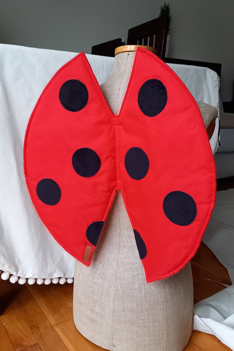 Ladybug Wings Costume, Carnival Party Outfit - Etsy