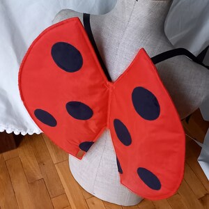 Ladybug Wings Costume, Carnival Party Outfit - Etsy