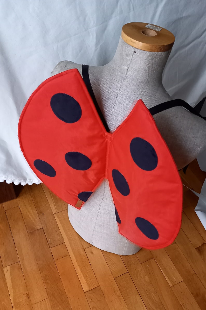 Ladybird Fairy Wings for Kids Ladybug Outfit for a Carnival Party ...