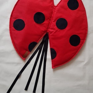 Ladybug Wings Costume, Carnival Party Outfit - Etsy