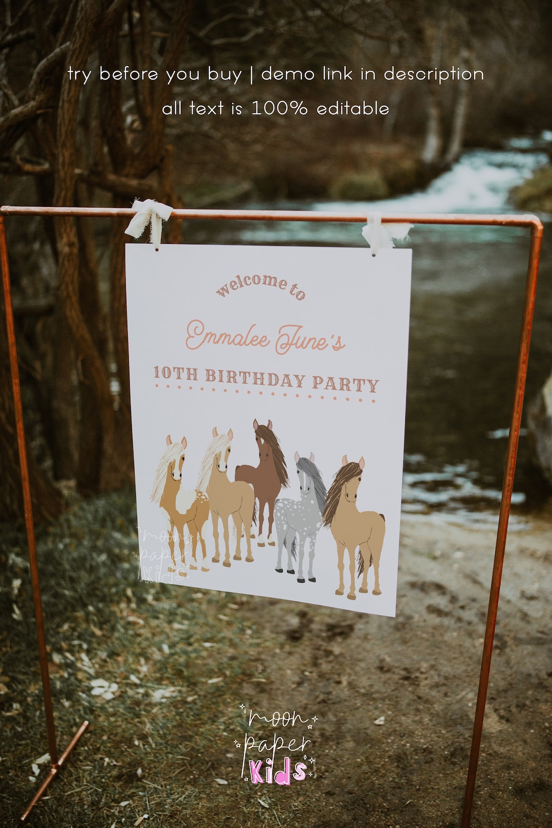 Horse Birthday Welcome Sign Template, Printable Horse Welcome Sign ...