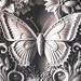 White Floral Butterfly, Digital Print Download - Etsy