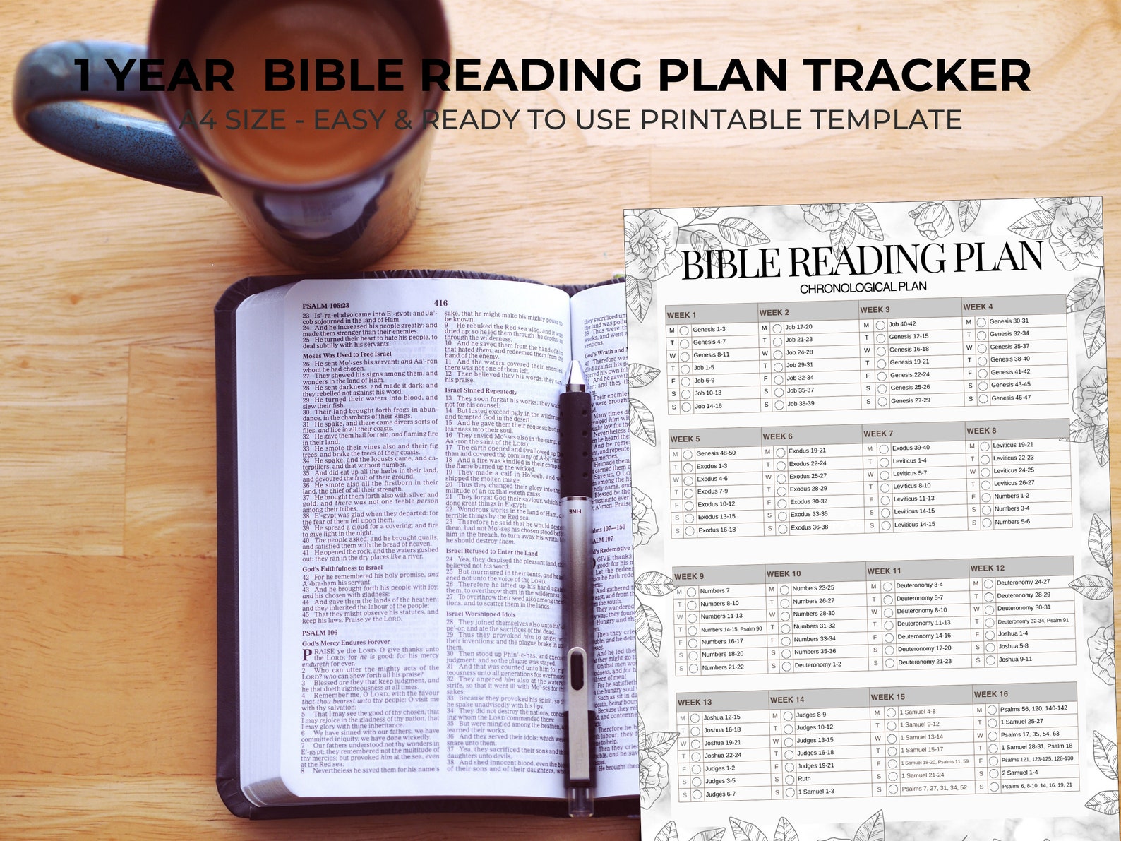 Bible Reading Plan One Year, Bible Study Plan, Chronological Bible Plan ...