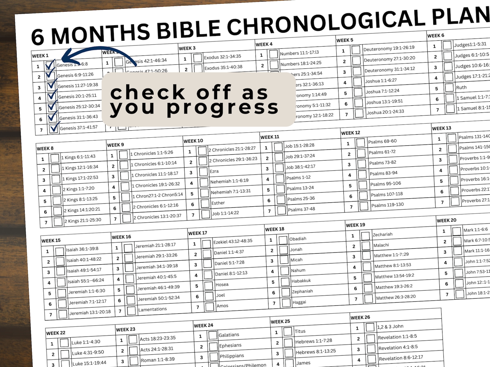 Bible Reading Tracker 6 Months, Bible Study Plan, Chronological Bible ...