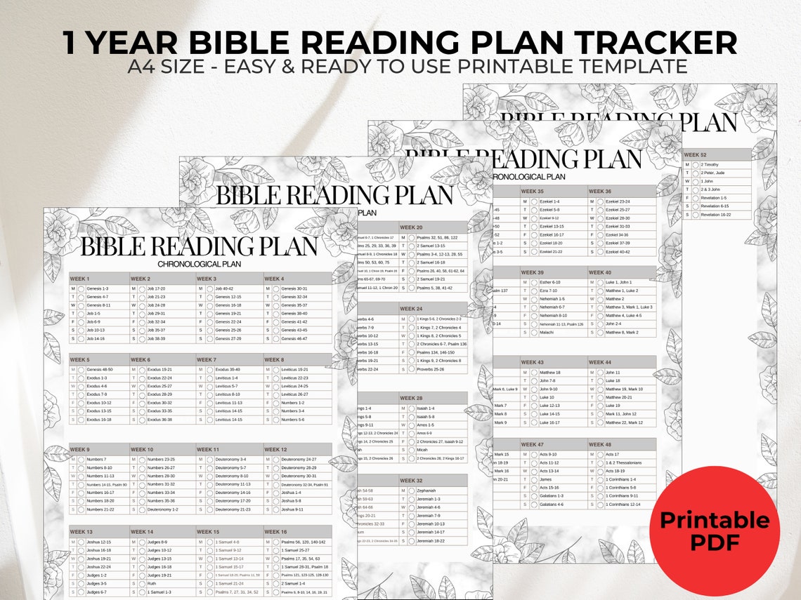 Bible Reading Plan One Year, Bible Study Plan, Chronological Bible Plan ...