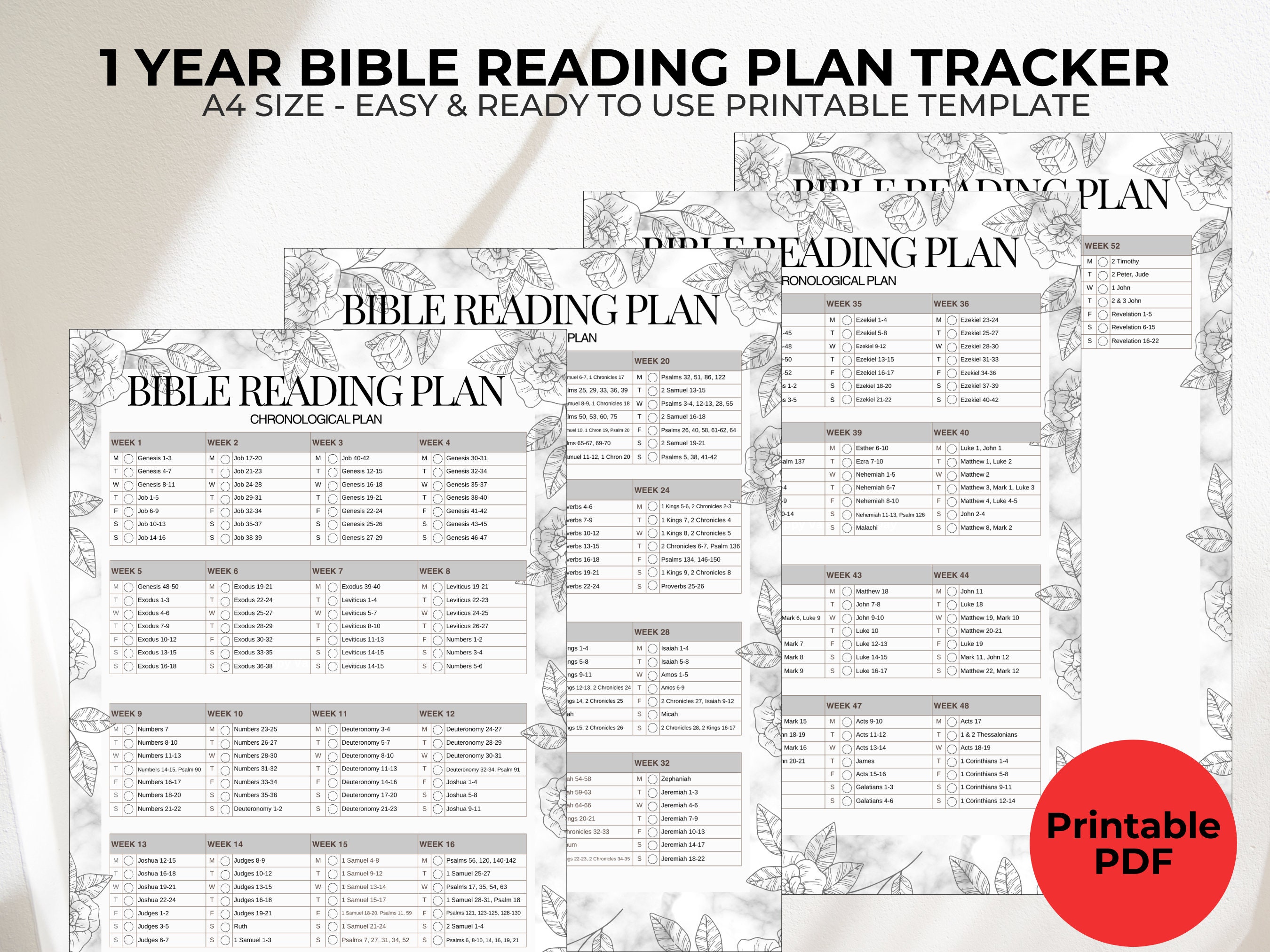 Bible Reading Plan One Year, Bible Study Plan, Chronological Bible Plan ...