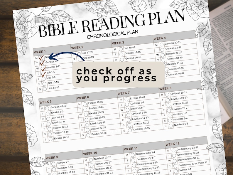 Bible Reading Plan One Year, Bible Study Plan, Chronological Bible Plan ...