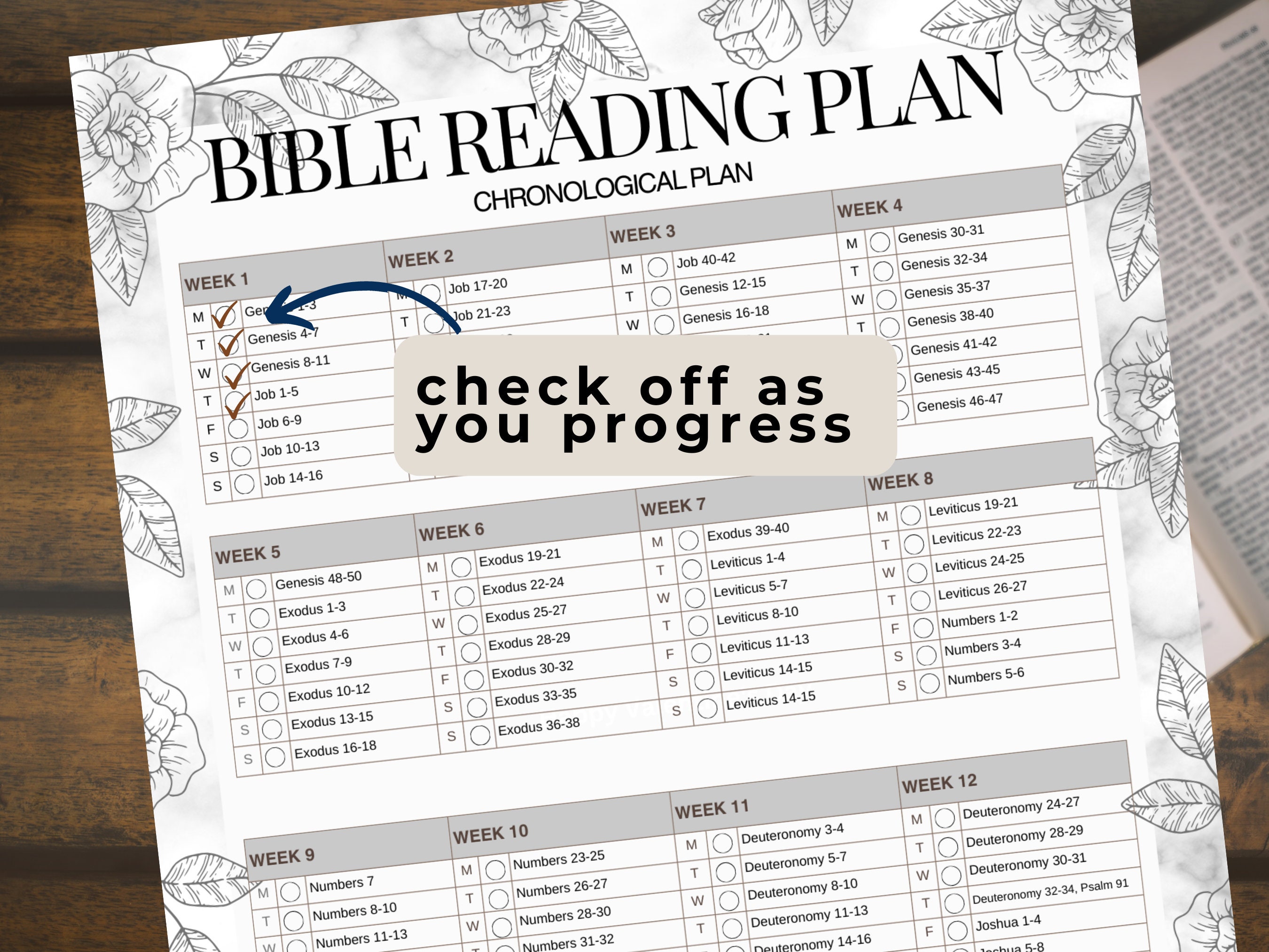 Bible Reading Plan One Year, Bible Study Plan, Chronological Bible Plan ...