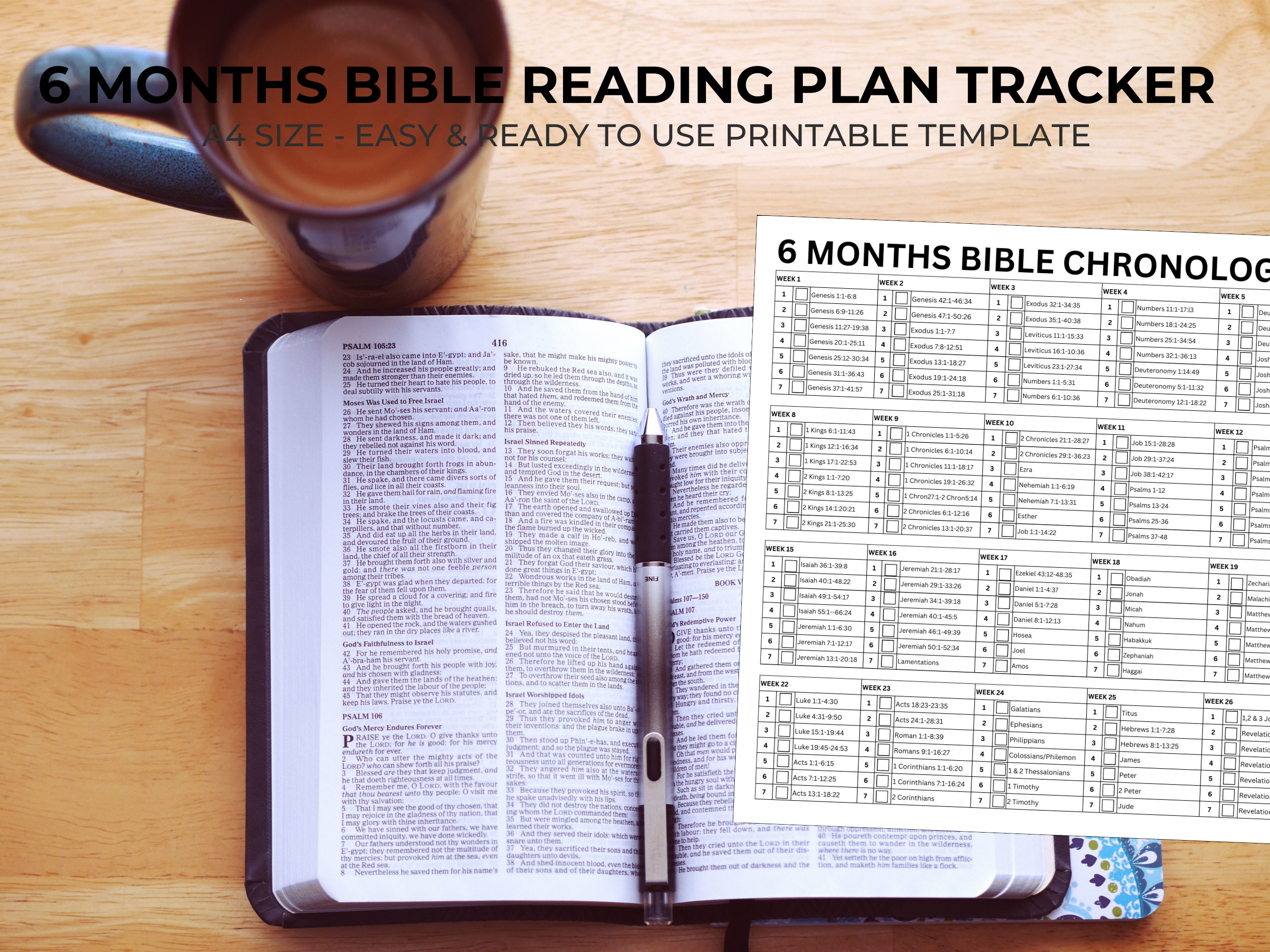 Bible Reading Tracker 6 Months, Bible Study Plan, Chronological Bible ...