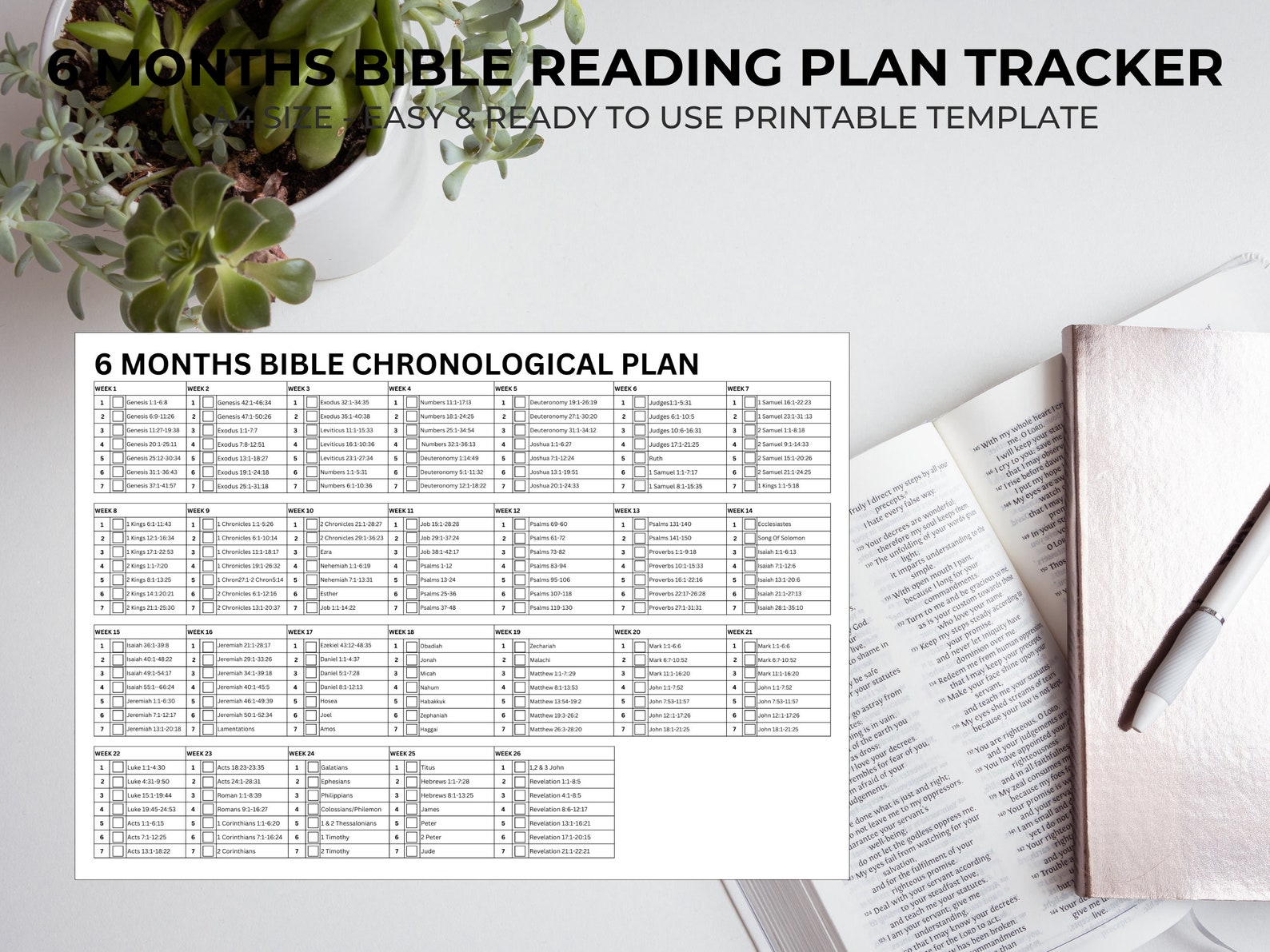 Bible Reading Tracker 6 Months, Bible Study Plan, Chronological Bible ...