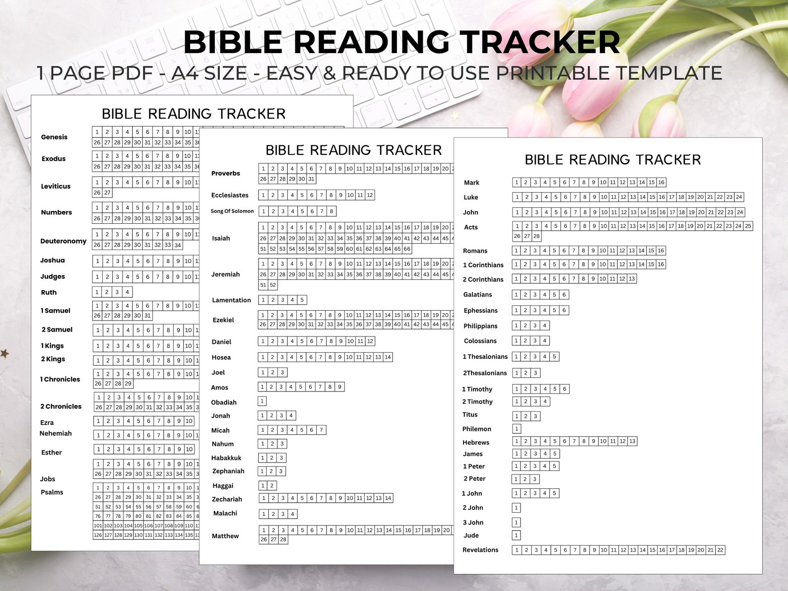 Books of the Bible Book Shelf Tracker, Bible Books Coloring Page One ...
