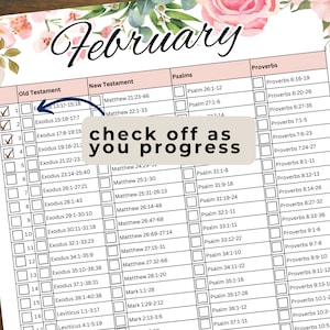 Printable Bible Reading Plan A4 PD, One Year Bible Reading Tracker - Etsy