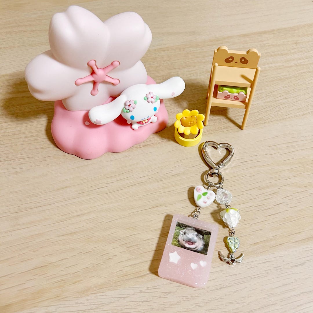 Moodeng Keychain | Custom Moodeng Photo Keychain | Hippo Keychain ...