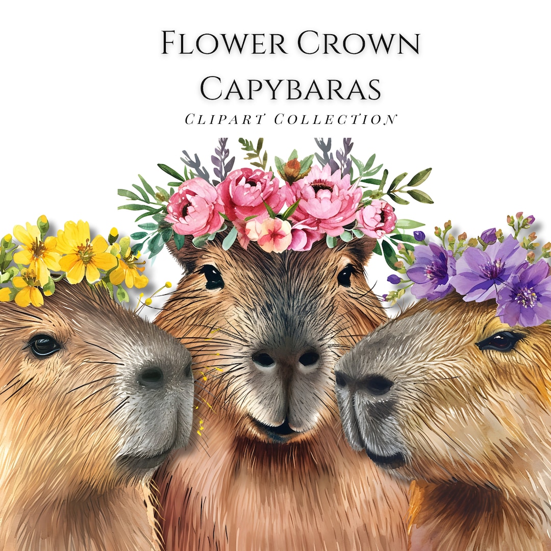 Watercolor Clipart, Flower Crown Capybara, Pngs, Animals, Commercial ...