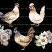 Watercolor Clipart, Country Chickens, Pngs, Animals, Commercial Use ...