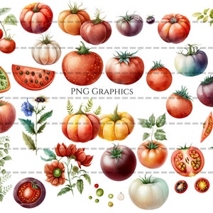Watercolor Tomato Garden Clipart, Garden Pngs, Commercial Use ...