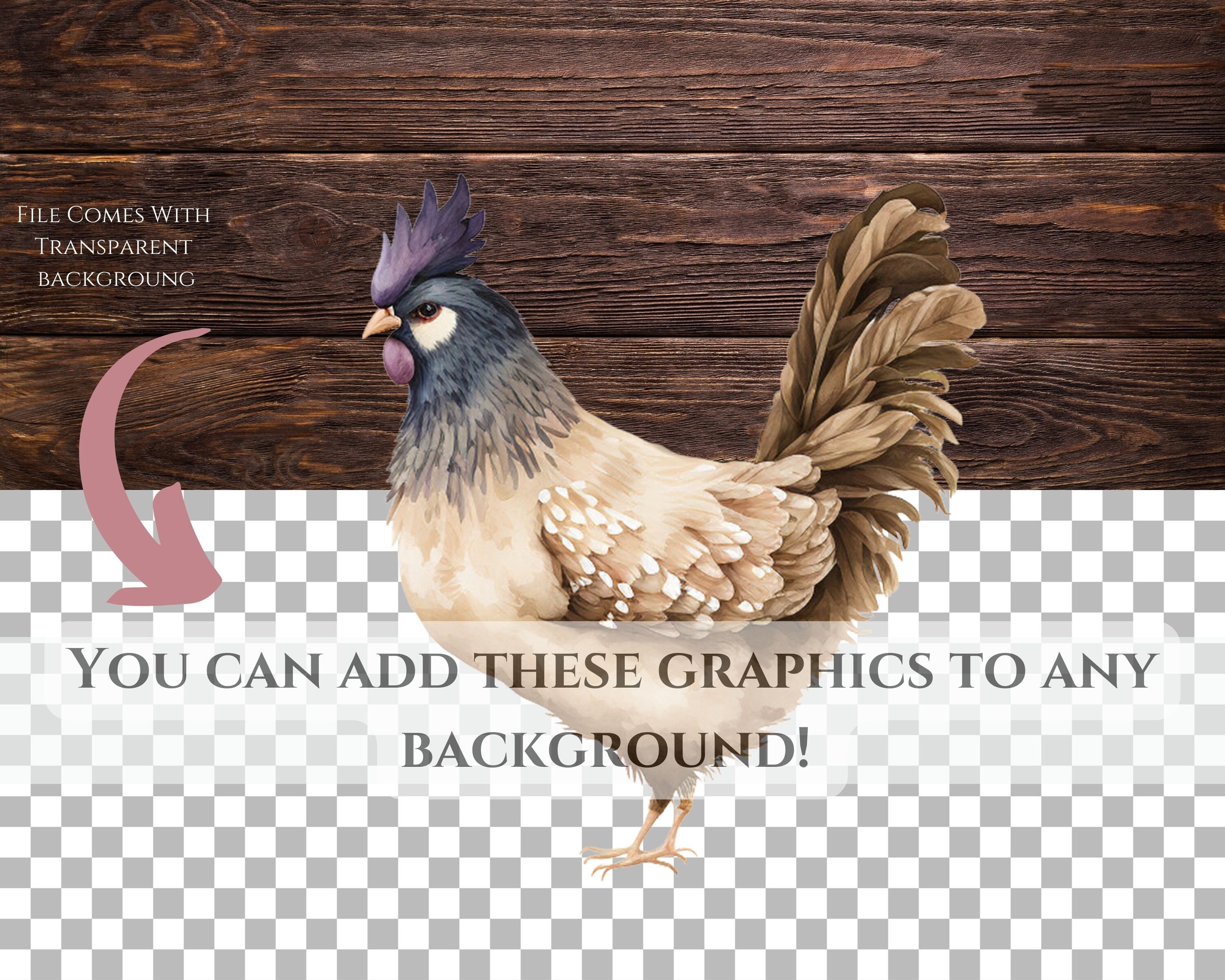 Watercolor Clipart, Country Chickens, Pngs, Animals, Commercial Use ...