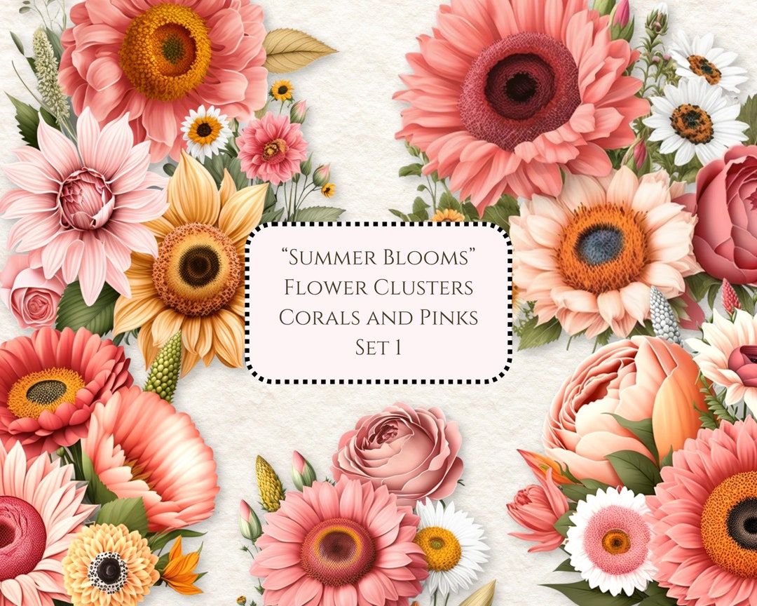 Watercolor Clipart Pink and Coral Flower Clusters Pngs - Etsy