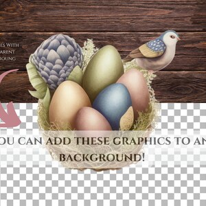 Easter Clipart, PNG Spring Graphics, Flowers Graphics, Easter ...
